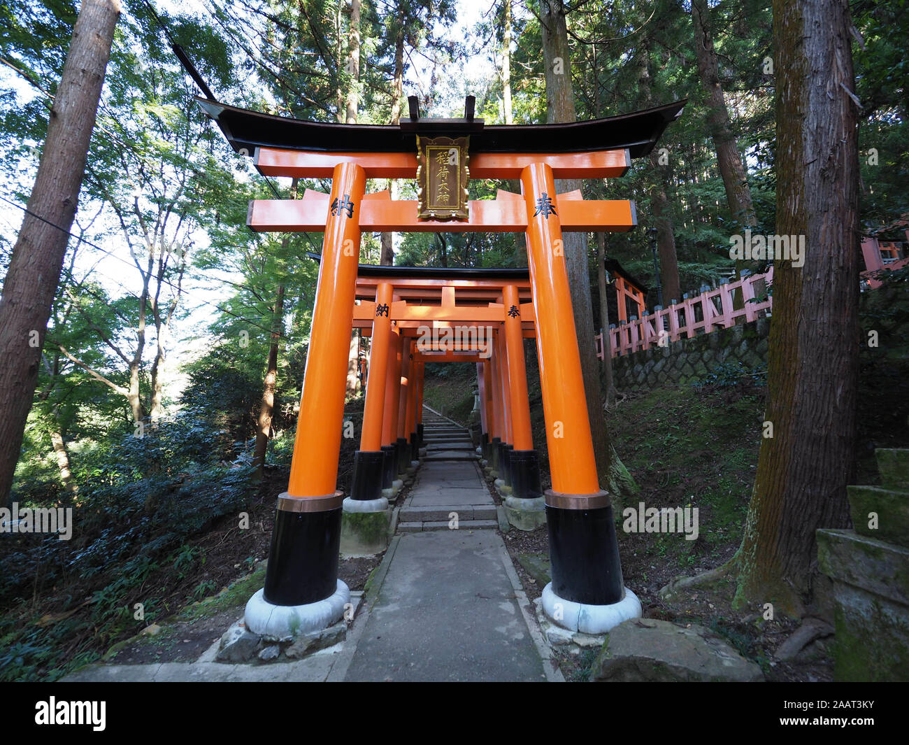 Torii gates hi-res stock photography and images - Alamy