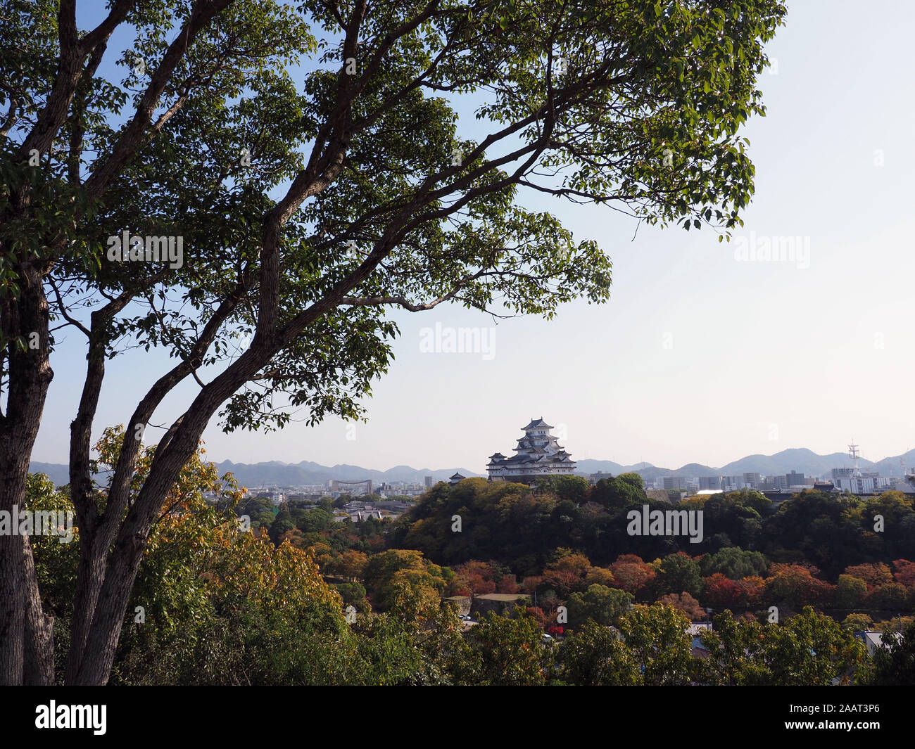 A view of the Himeji Castle with fall foliage in Himeji, Japan Stock ...