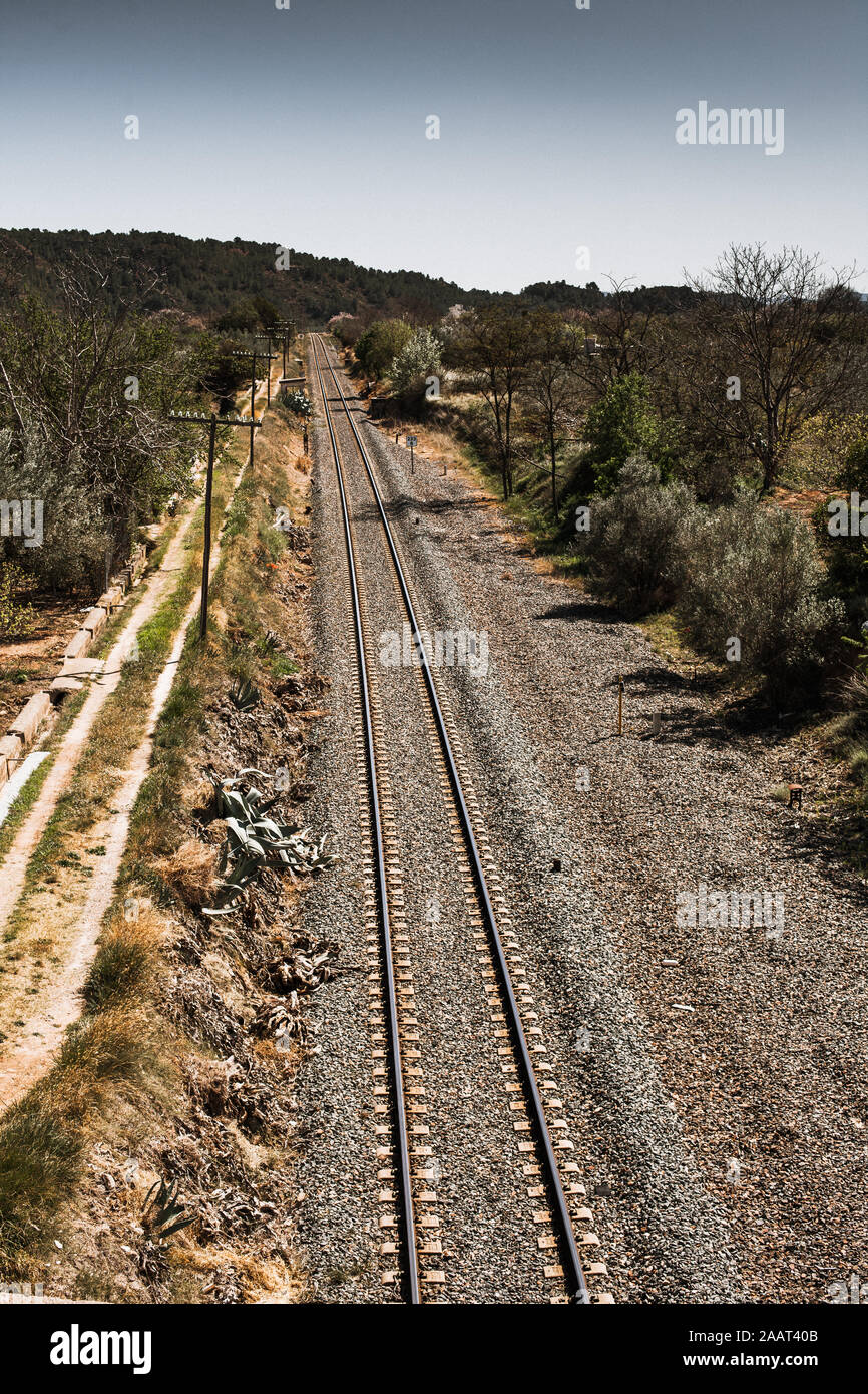 Rail track between trees hi-res stock photography and images - Alamy