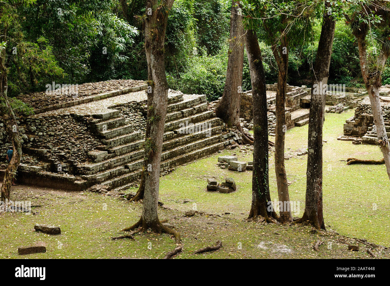 Central America, Honduras, Mayan city ruins in Copan Stock Photo - Alamy