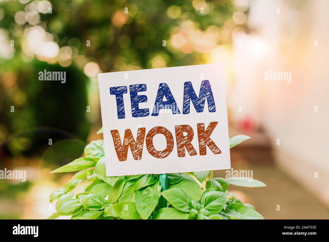 Word writing text Team Work. Business photo showcasing Combined action ...