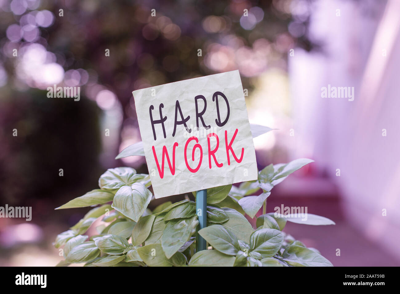 Text sign showing Hard Work. Business photo text always putting a lot ...