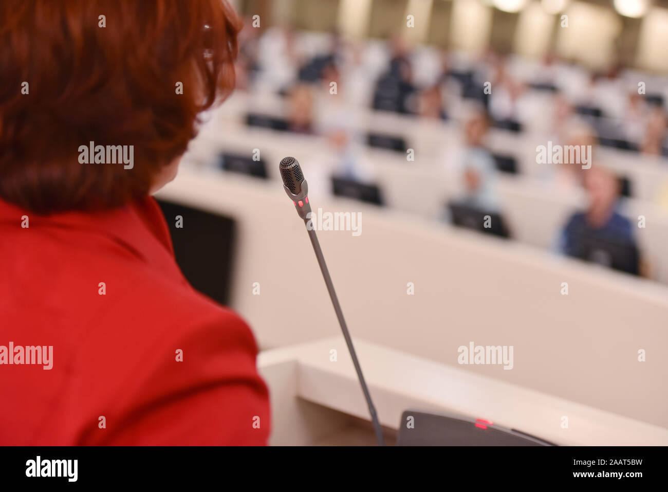 Business woman as leader speaking at Conference. Audience at the ...