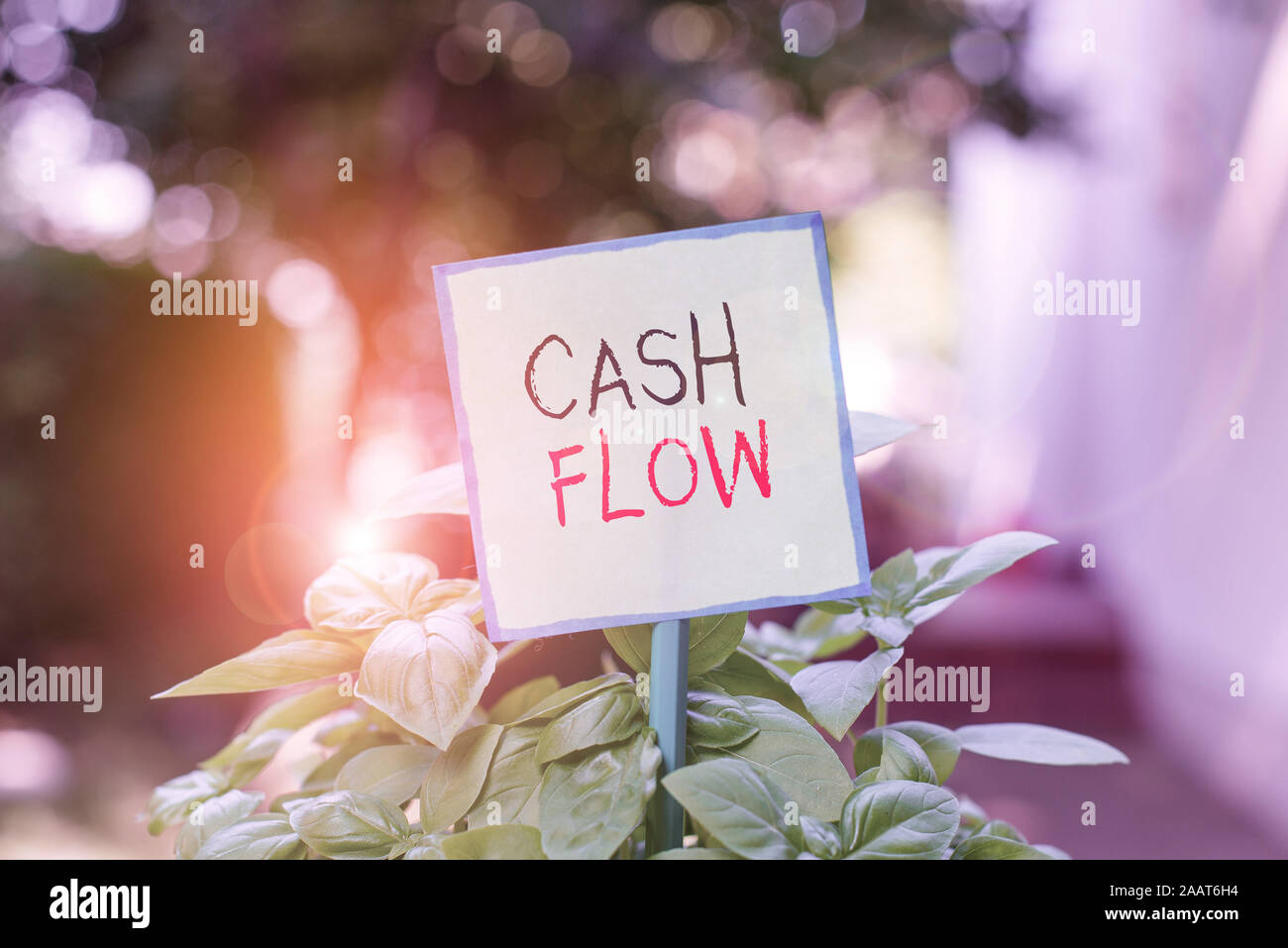 Conceptual hand writing showing Cash Flow. Concept meaning Movement of ...