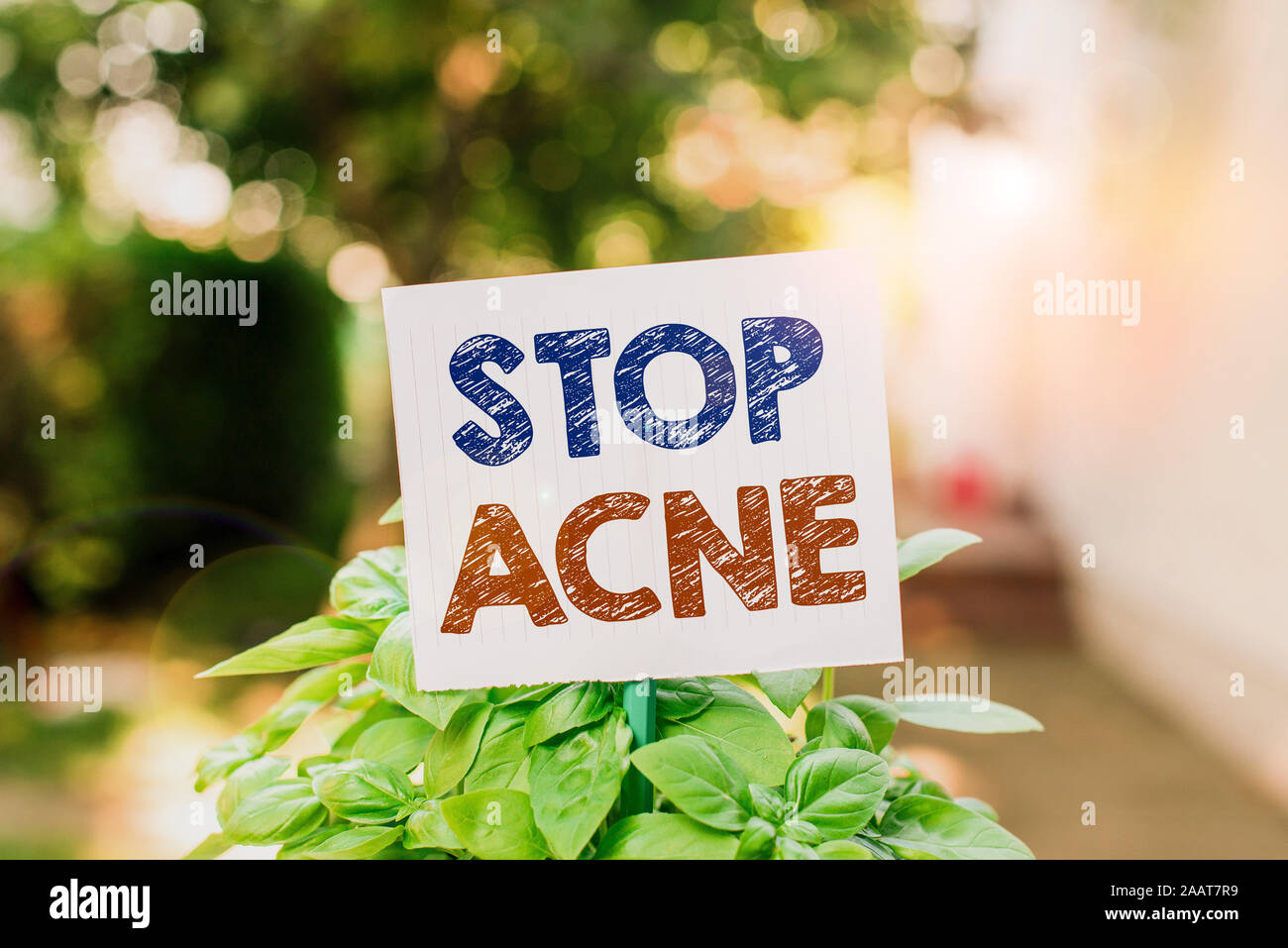 Word writing text Stop Acne. Business photo showcasing control the ...