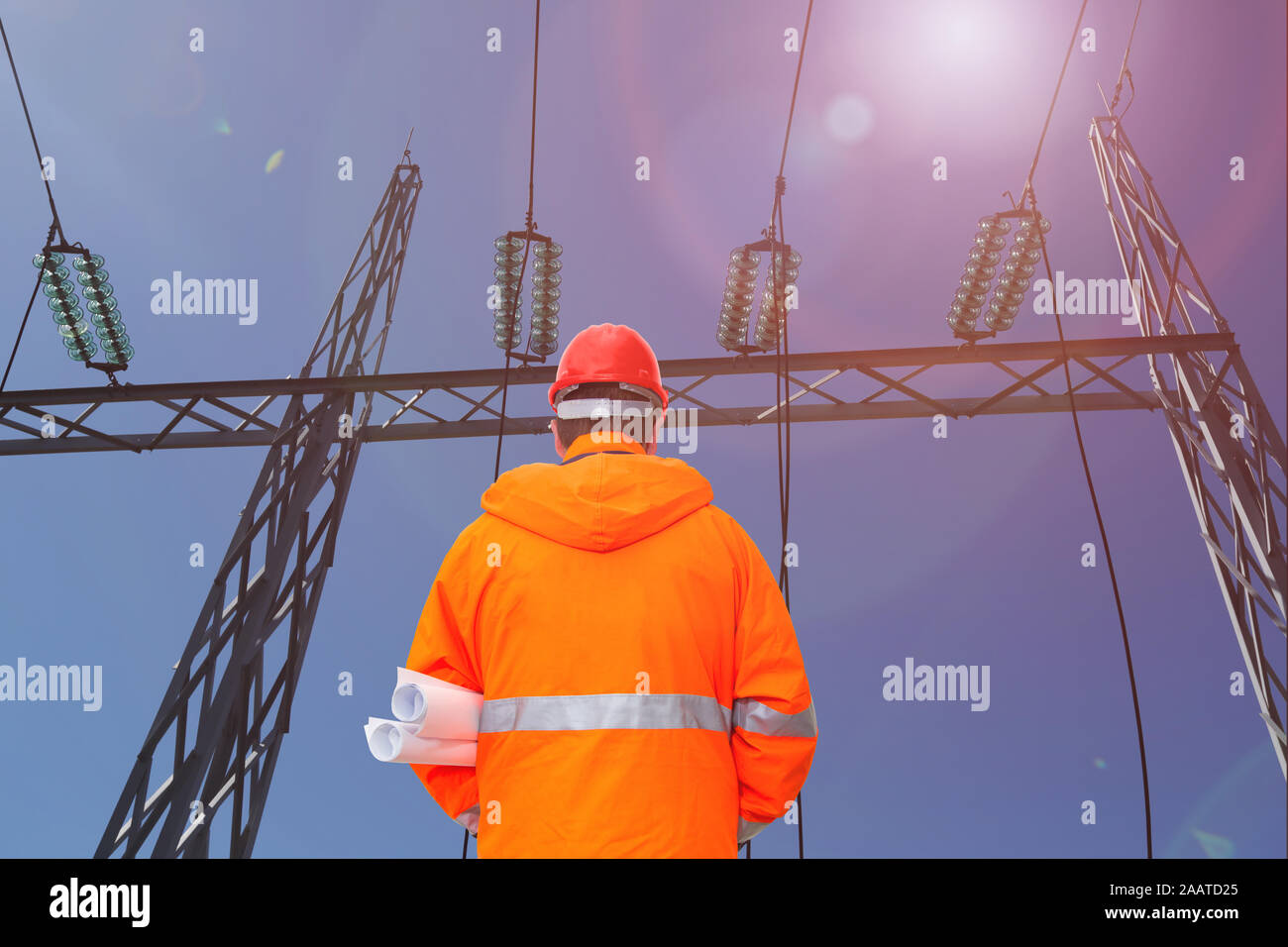 Electrical engineer looking at substation, back view Stock Photo - Alamy