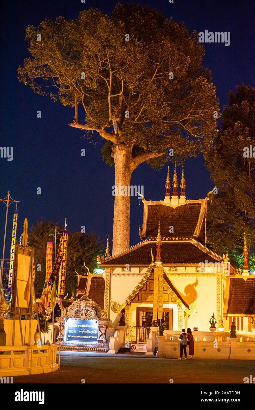 Giant tree hi-res stock photography and images - Alamy