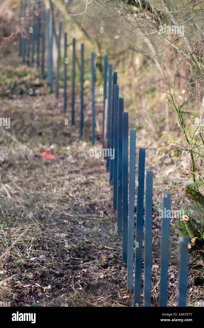 Flensburg, Germany. 22nd Nov, 2019. Fence posts are in the forest floor ...