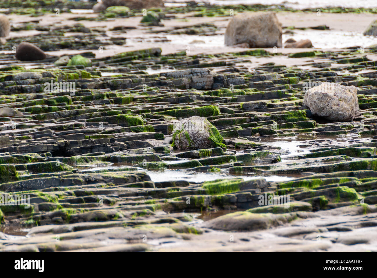 Boulders and layered rock formation partially covered in seaweed Stock ...