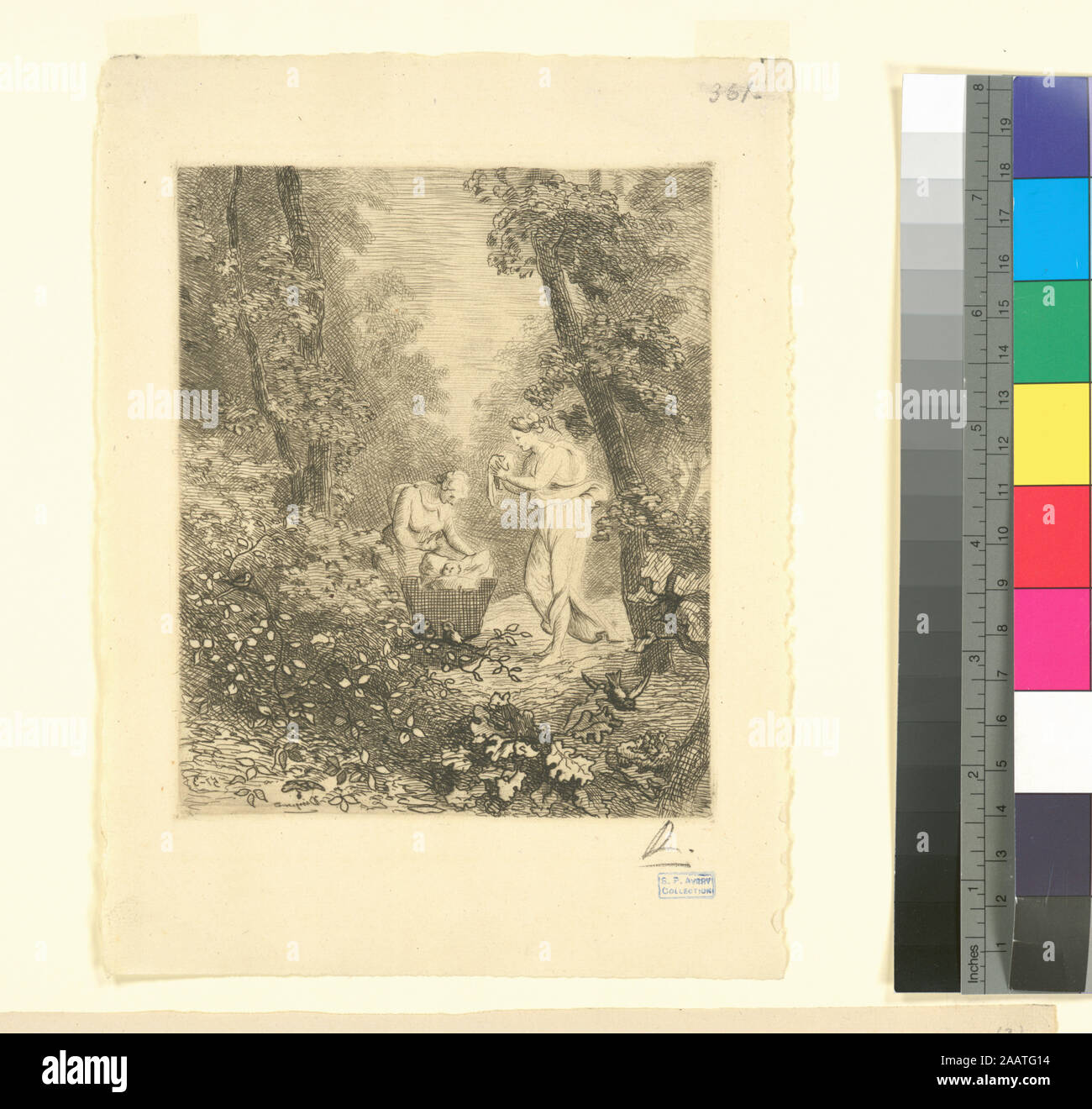 M champfleury hi-res stock photography and images - Alamy