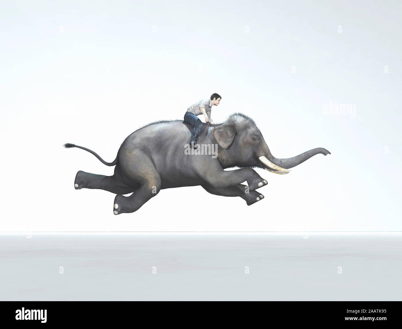 Elephant Jump High Resolution Stock Photography and Images - Alamy