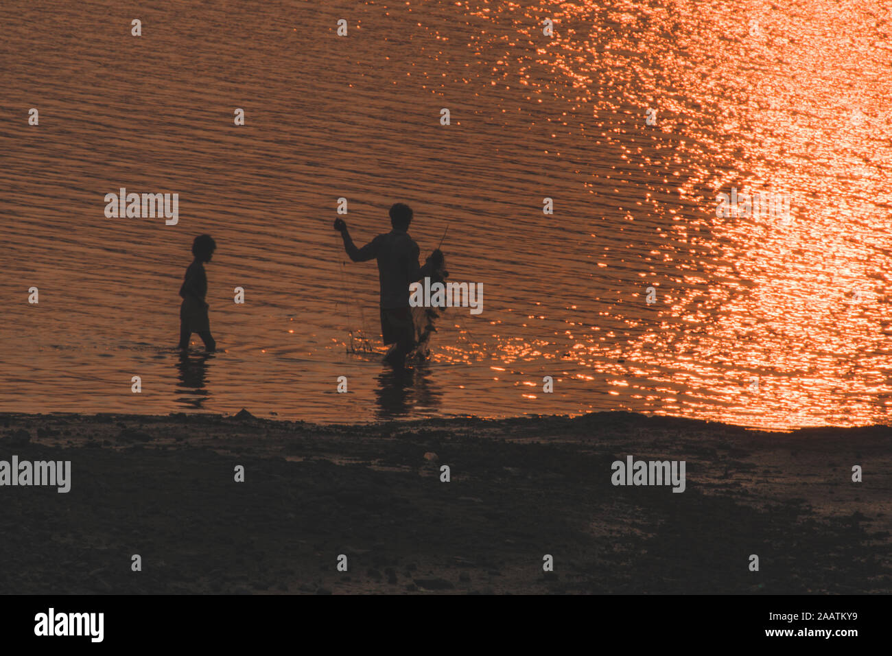 Fish shadow hi-res stock photography and images - Alamy