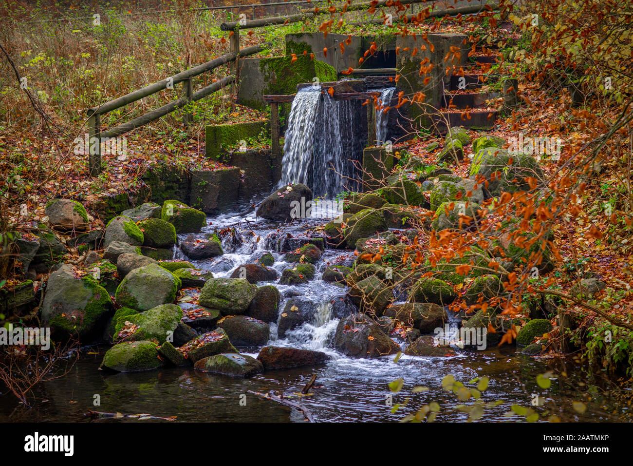 a small waterfall located in a forest surrounded by trees with ...