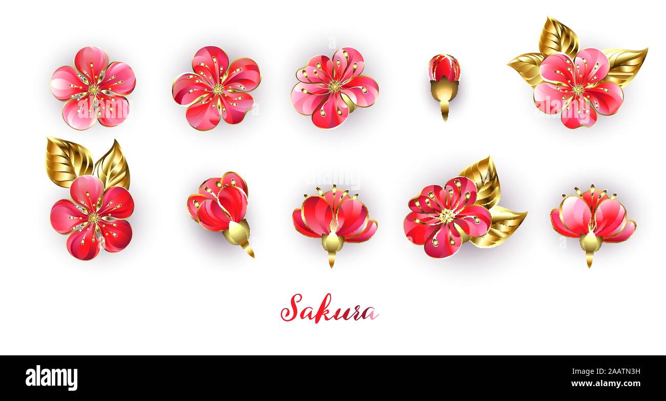 3d sakura petals realistic Stock Vector Images - Alamy