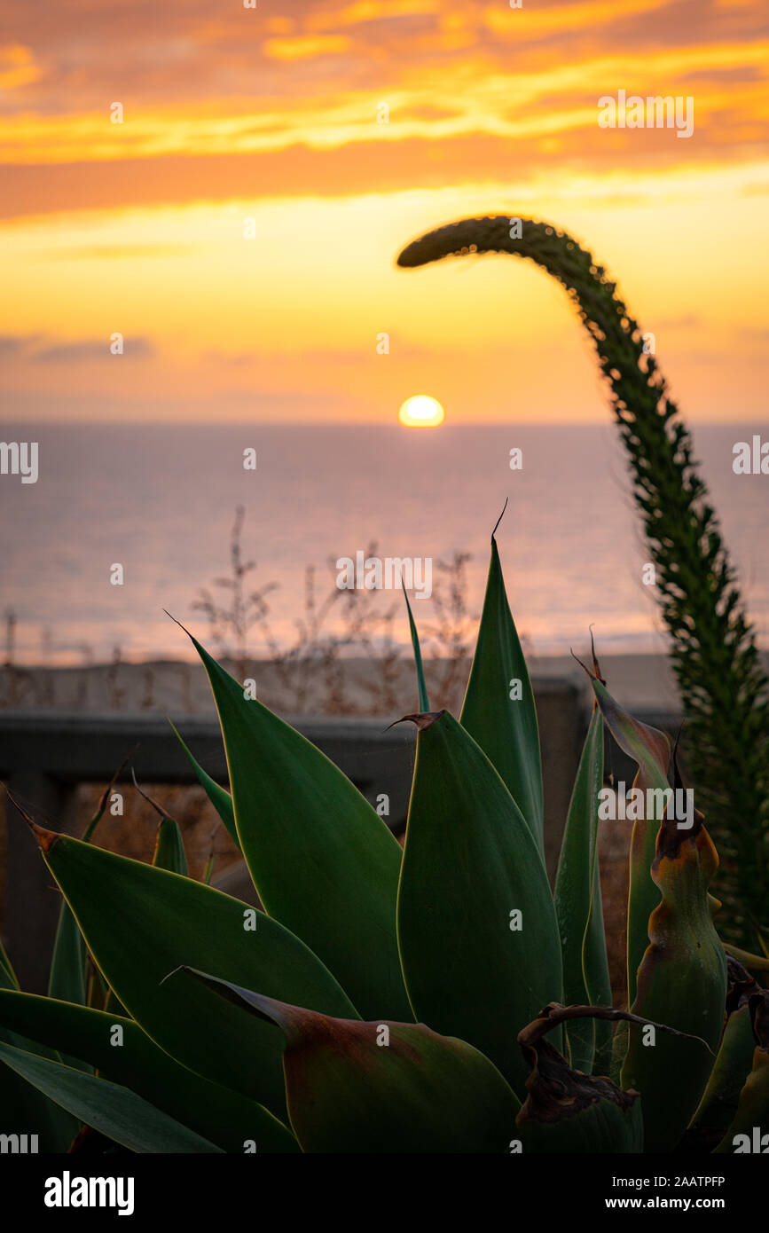 Sun setting on the horizon along Santa Monica Beach in Los Angeles ...