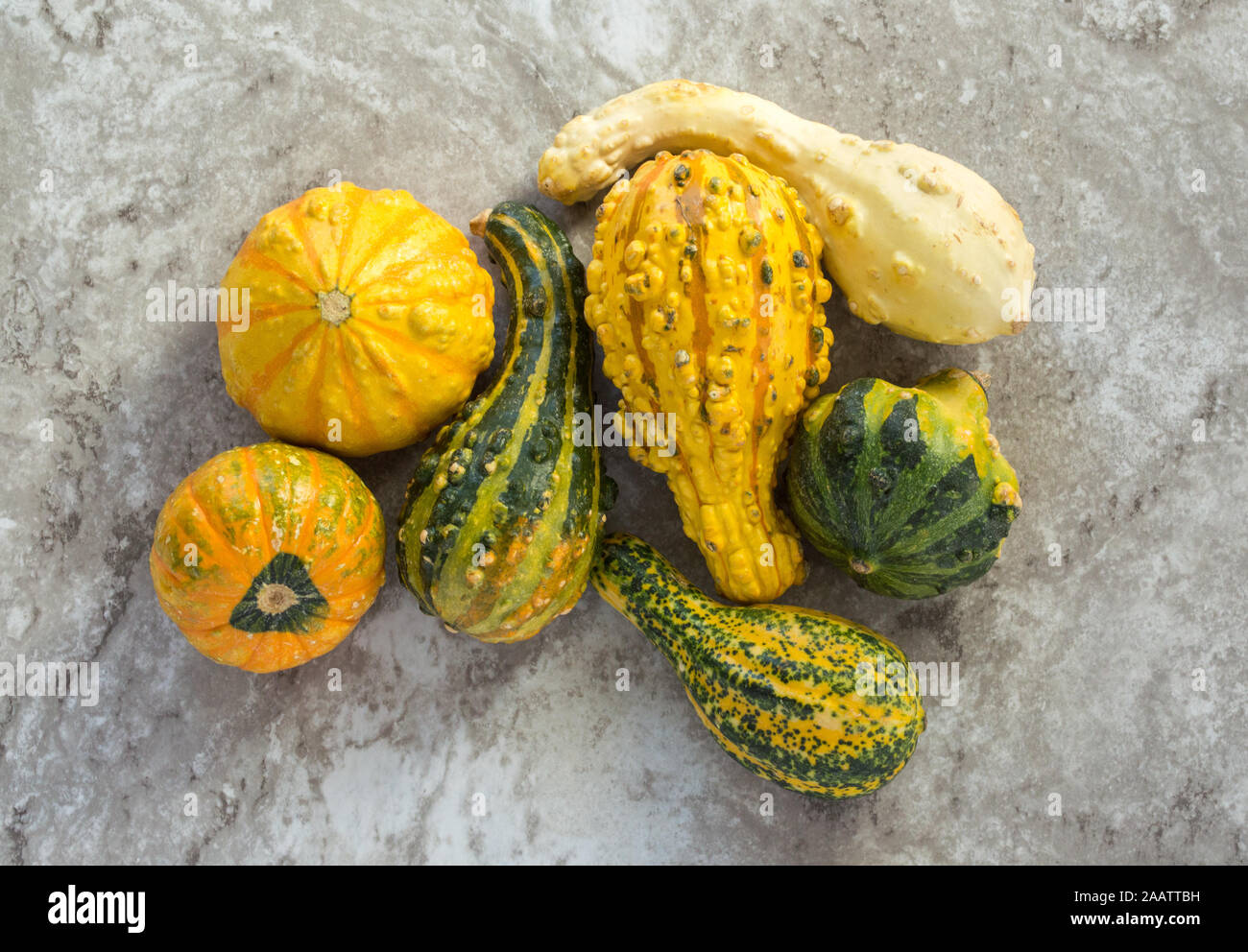 a group of colorful autumn gourds on a gray marble background viewed ...