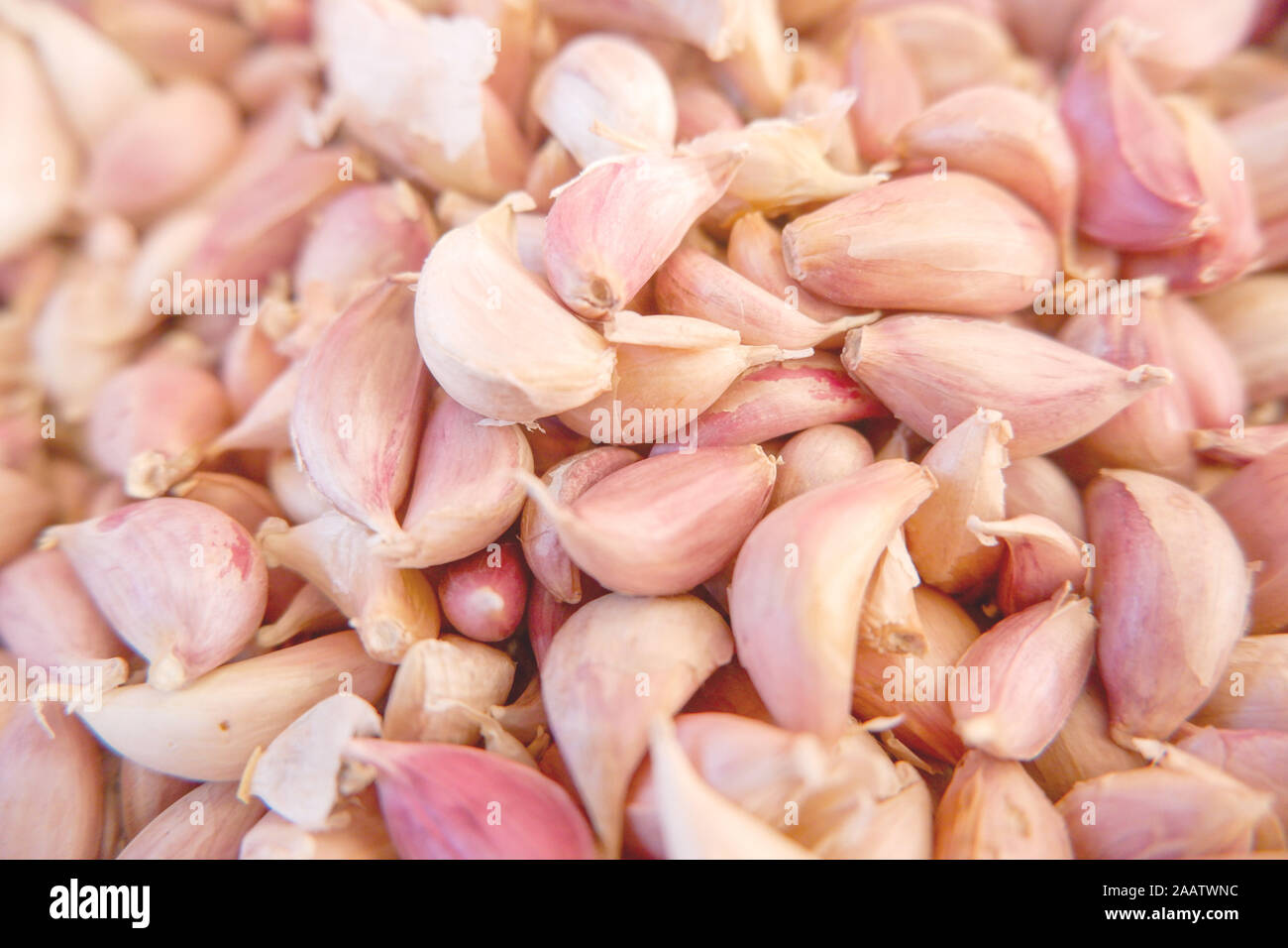 White garlic head heap top view hi-res stock photography and images - Alamy