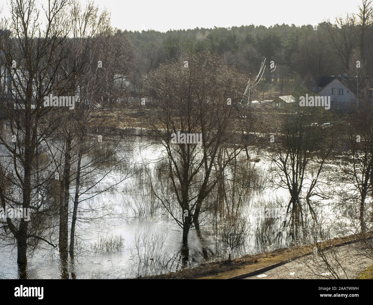 misty spring landscape with flooded river, view from above over the ...