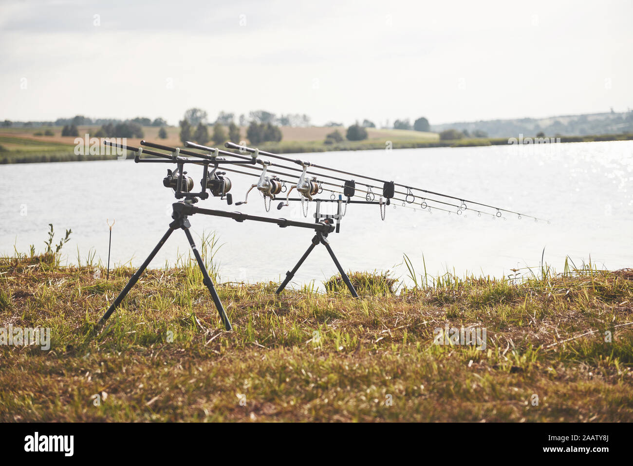 Carp fishing rods standing on special tripods. Expensive coils and a ...