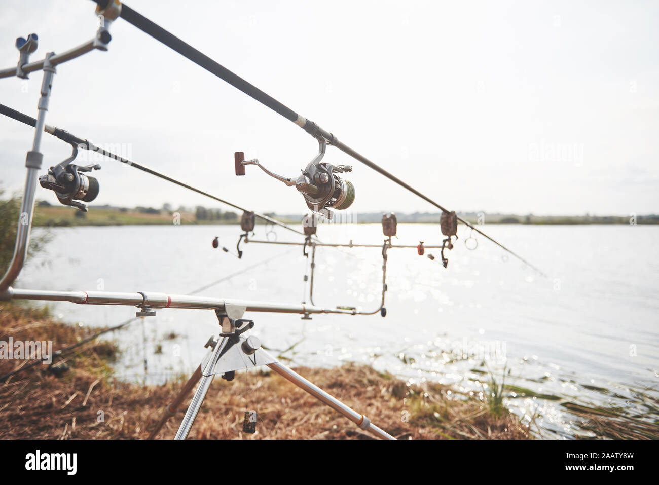 Carp fishing rods standing on special tripods. Expensive coils and a ...