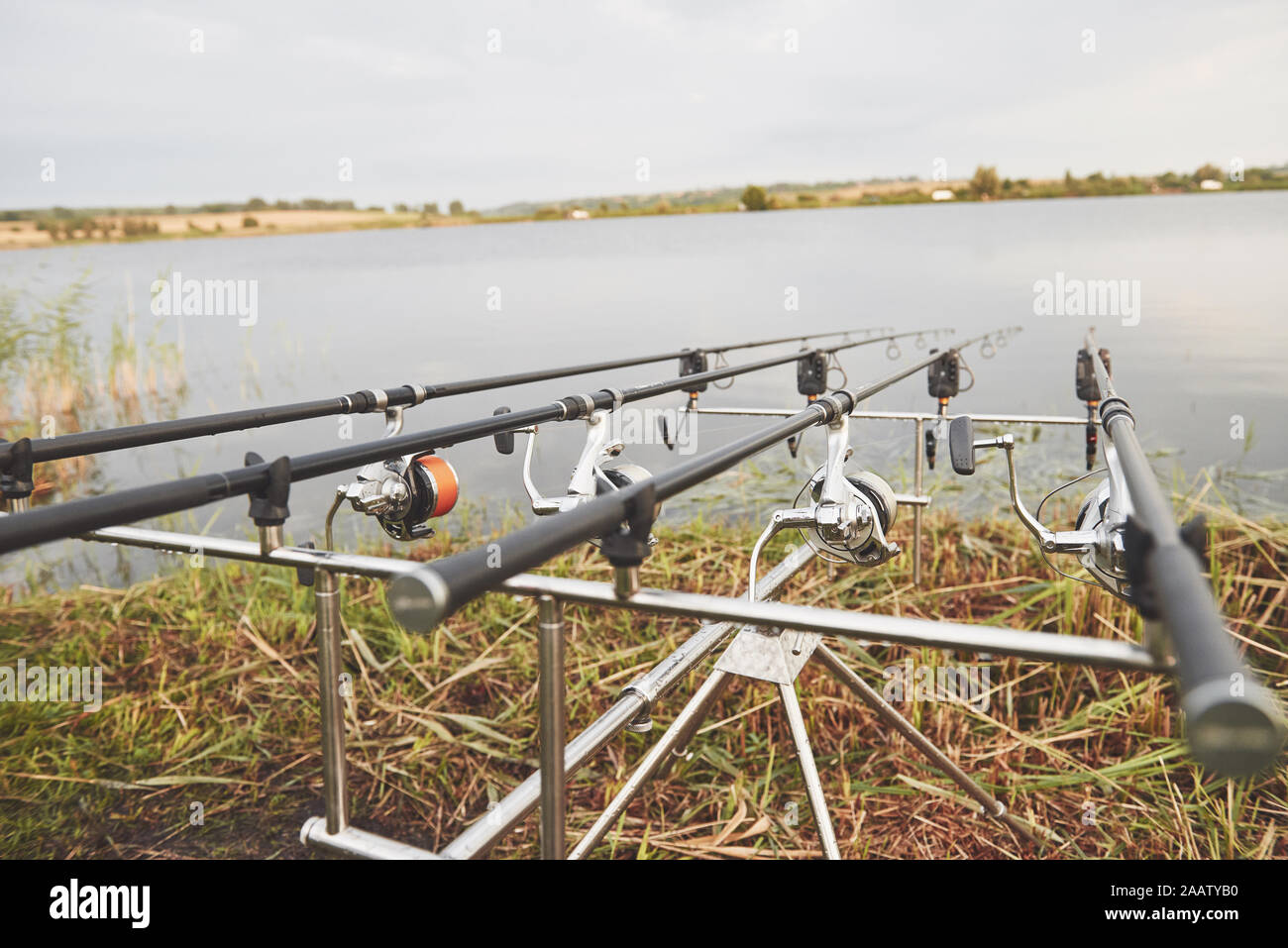 Carp fishing rods standing on special tripods. Expensive coils and a ...