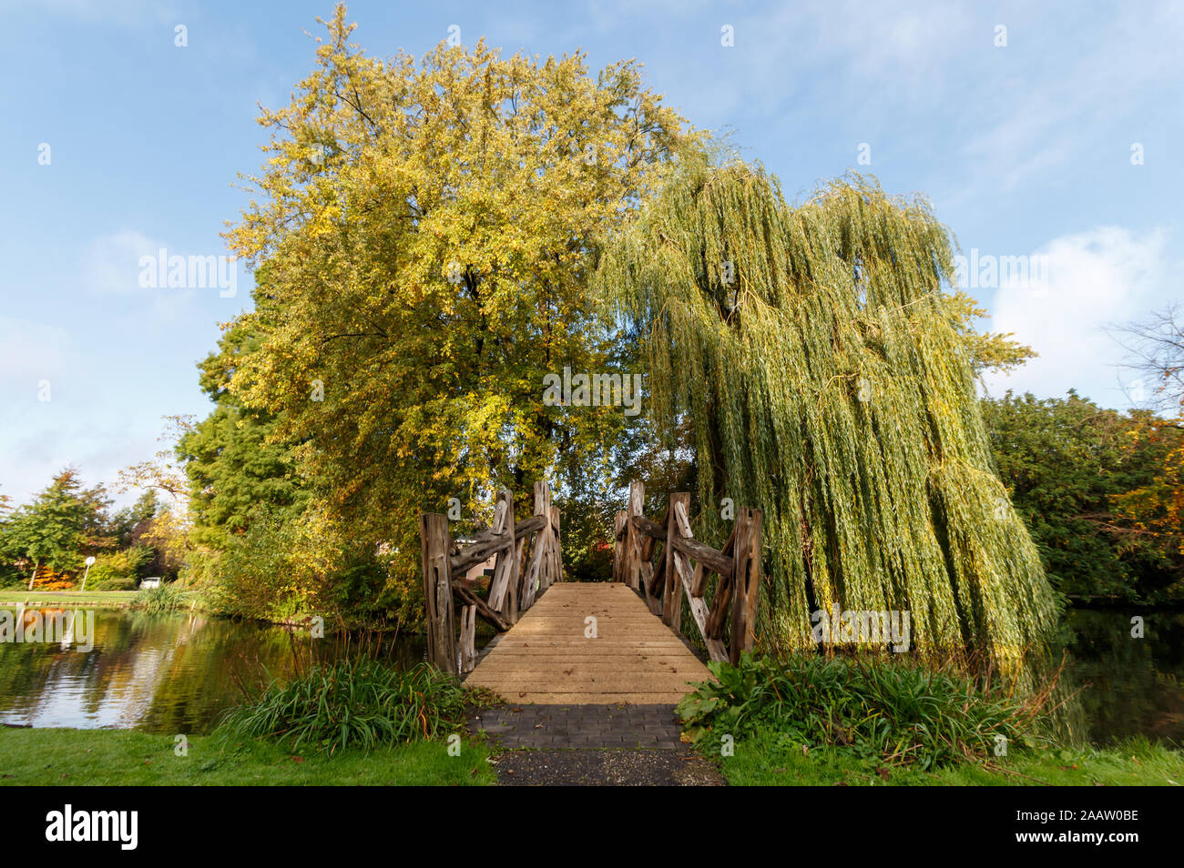 Wooden Bridge Over Water leading to large trees Stock Photo - Alamy