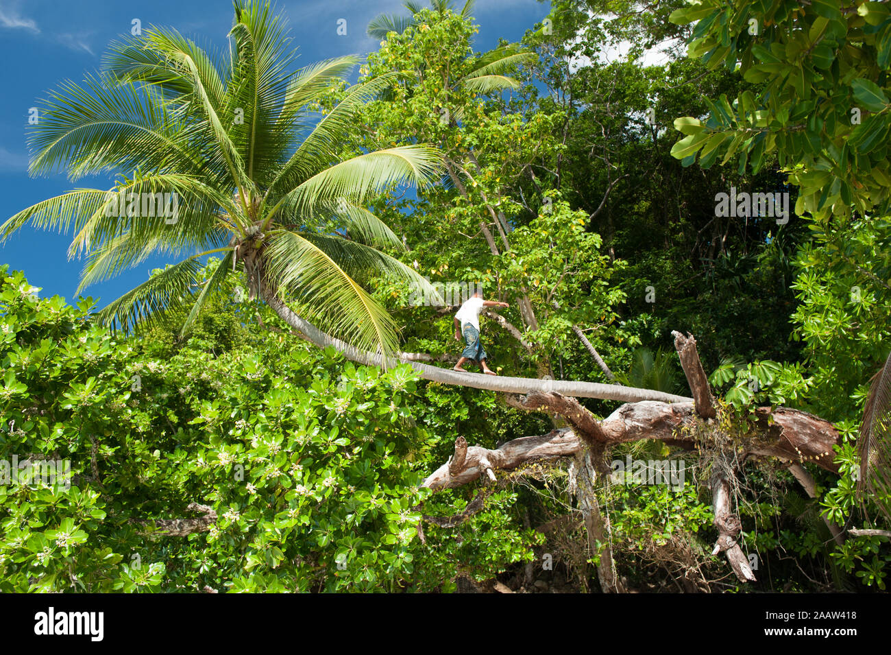 Coconut triangle hi-res stock photography and images - Alamy