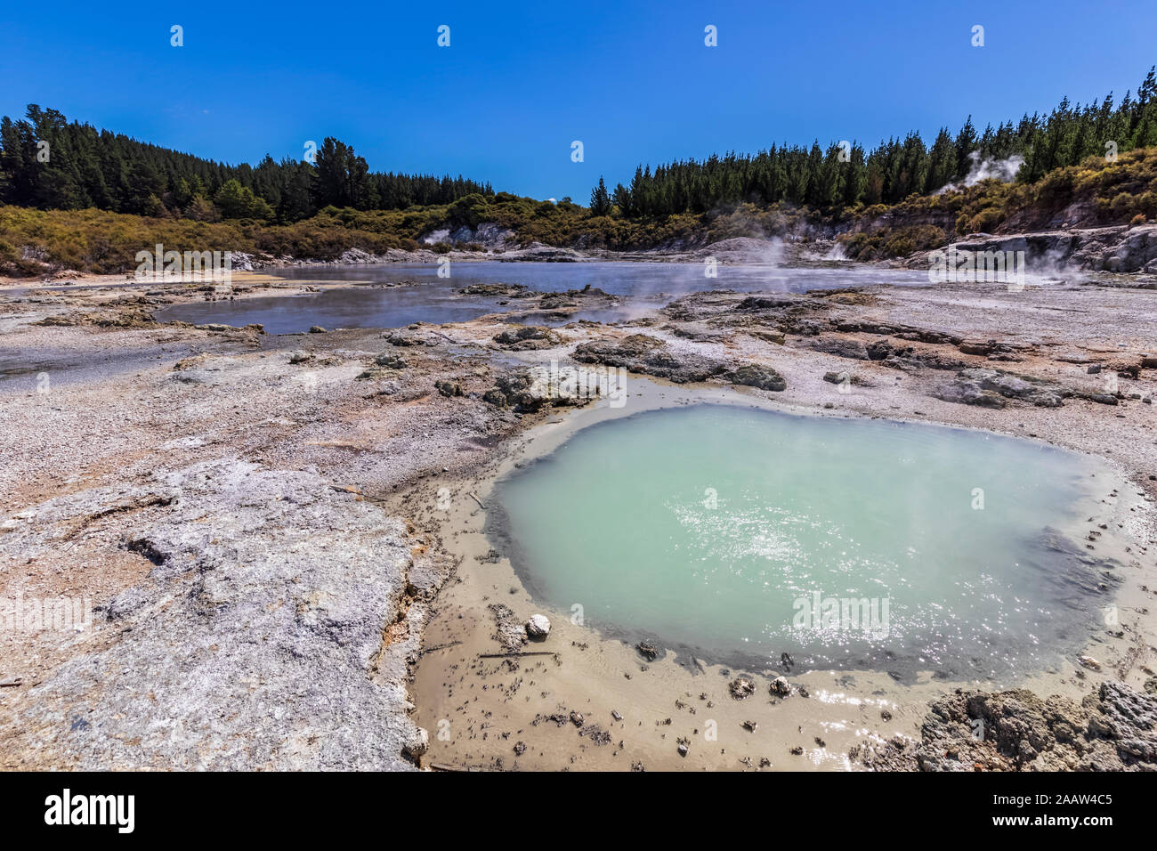 Hells gate geothermal park rotorua hi-res stock photography and images ...