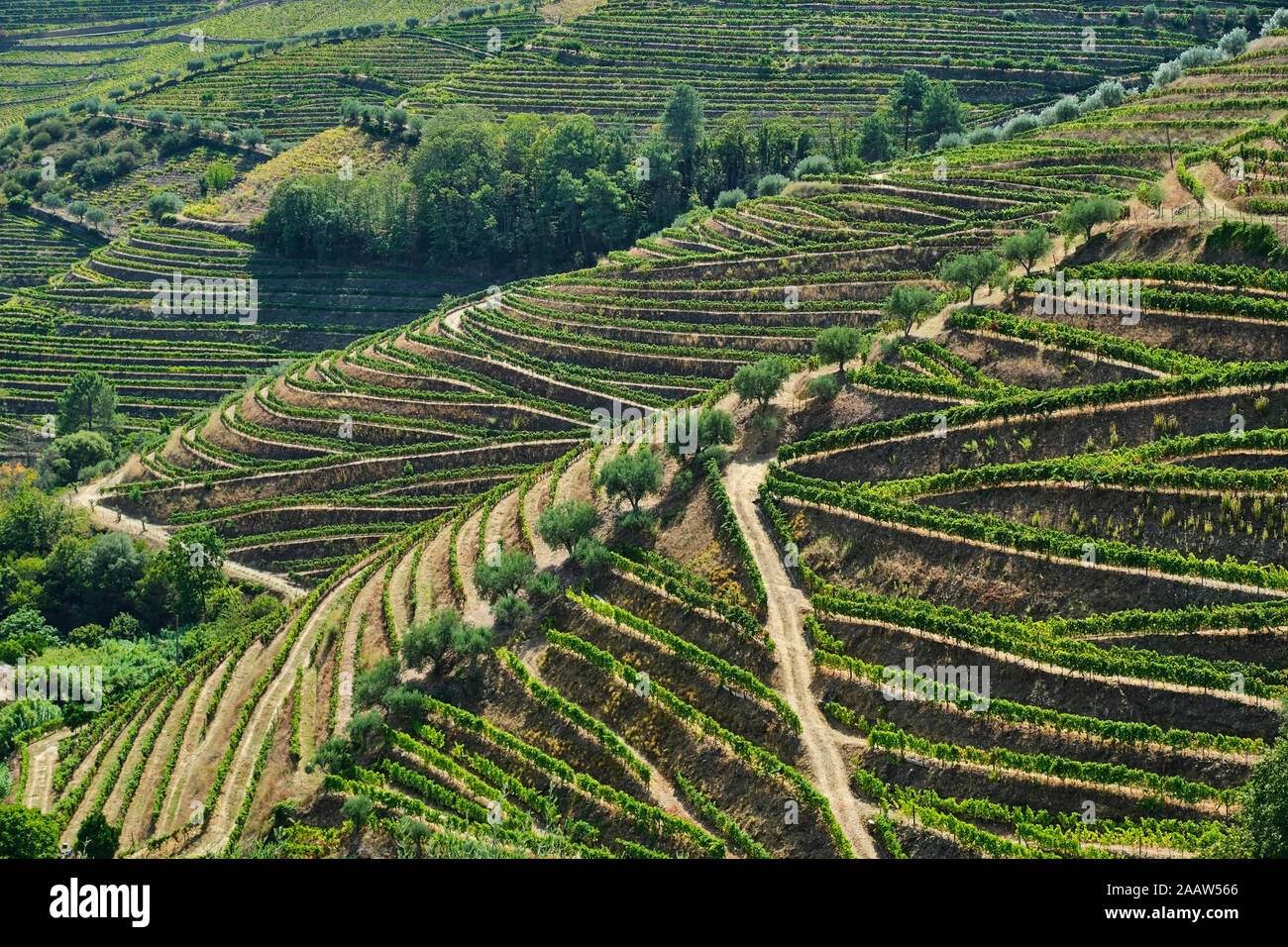 Birds eye view douro hi-res stock photography and images - Alamy
