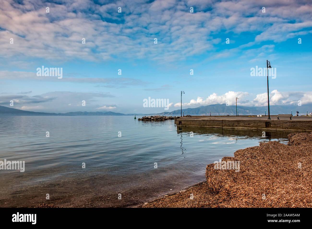 Seascape with seaweeds on the beach of Arkitsa,Greece Stock Photo - Alamy