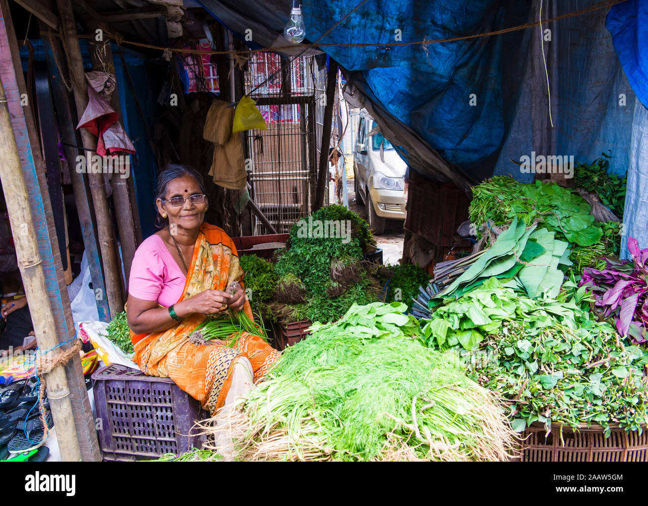 Portrait of an Indian woman in Asalfa neighborhood in Ghatkopar, a ...