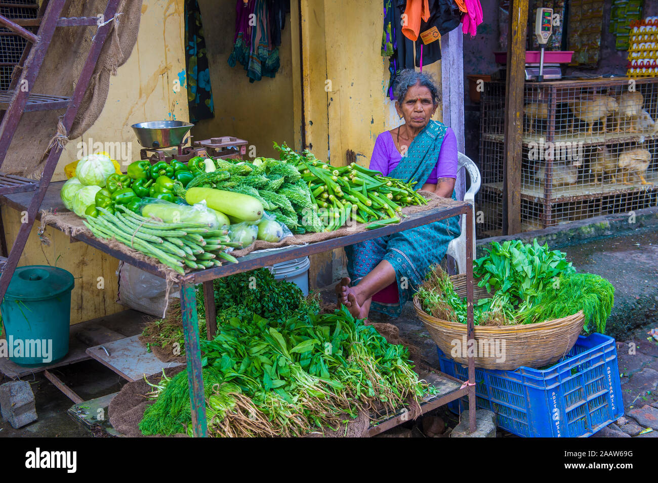 Portrait of an Indian woman in Asalfa neighborhood in Ghatkopar, a ...
