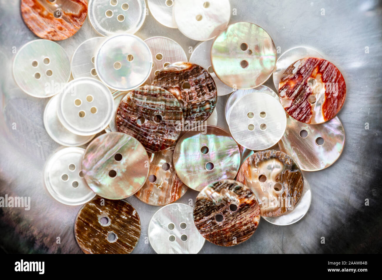 Building made of shells hi-res stock photography and images - Alamy