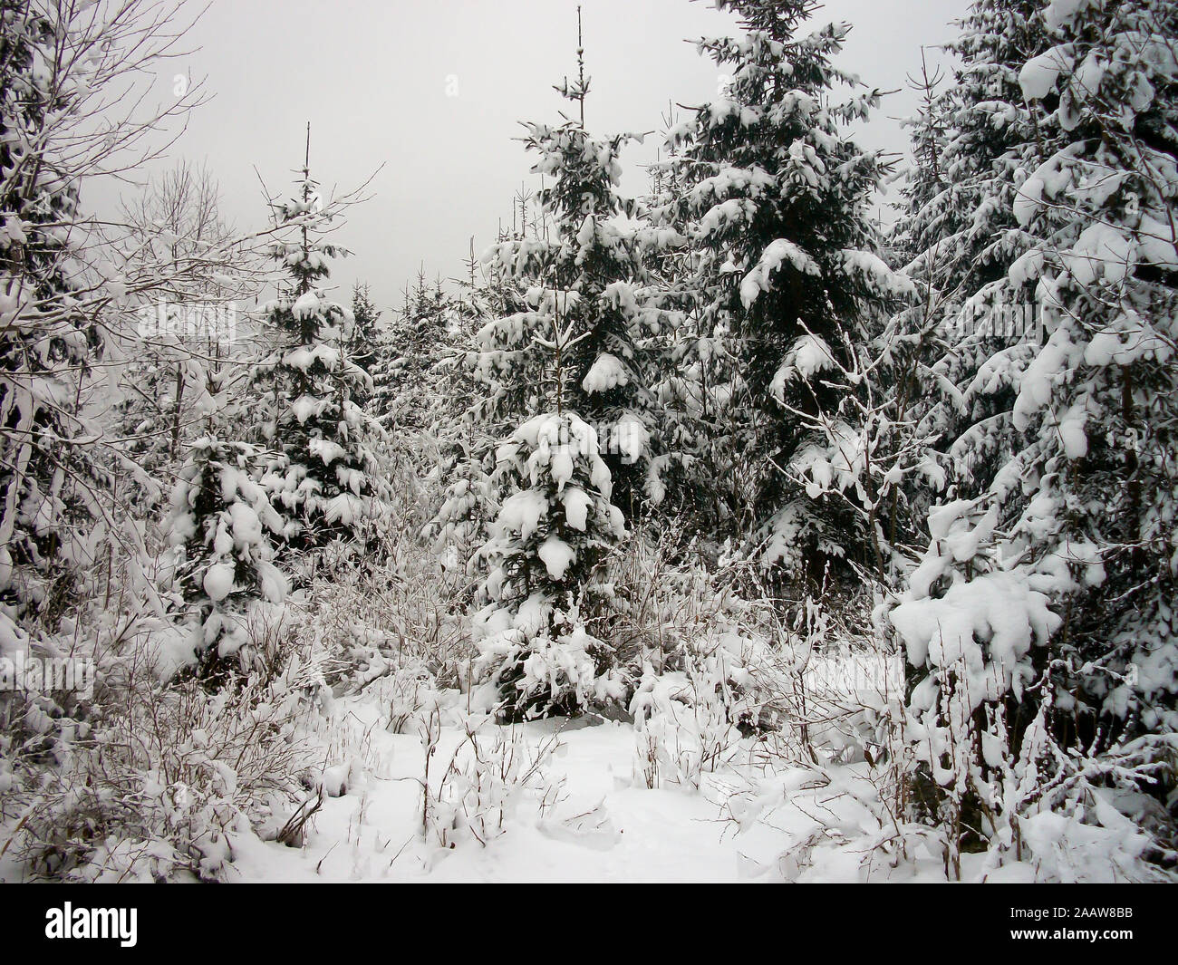 Snap Off High Resolution Stock Photography and Images - Alamy