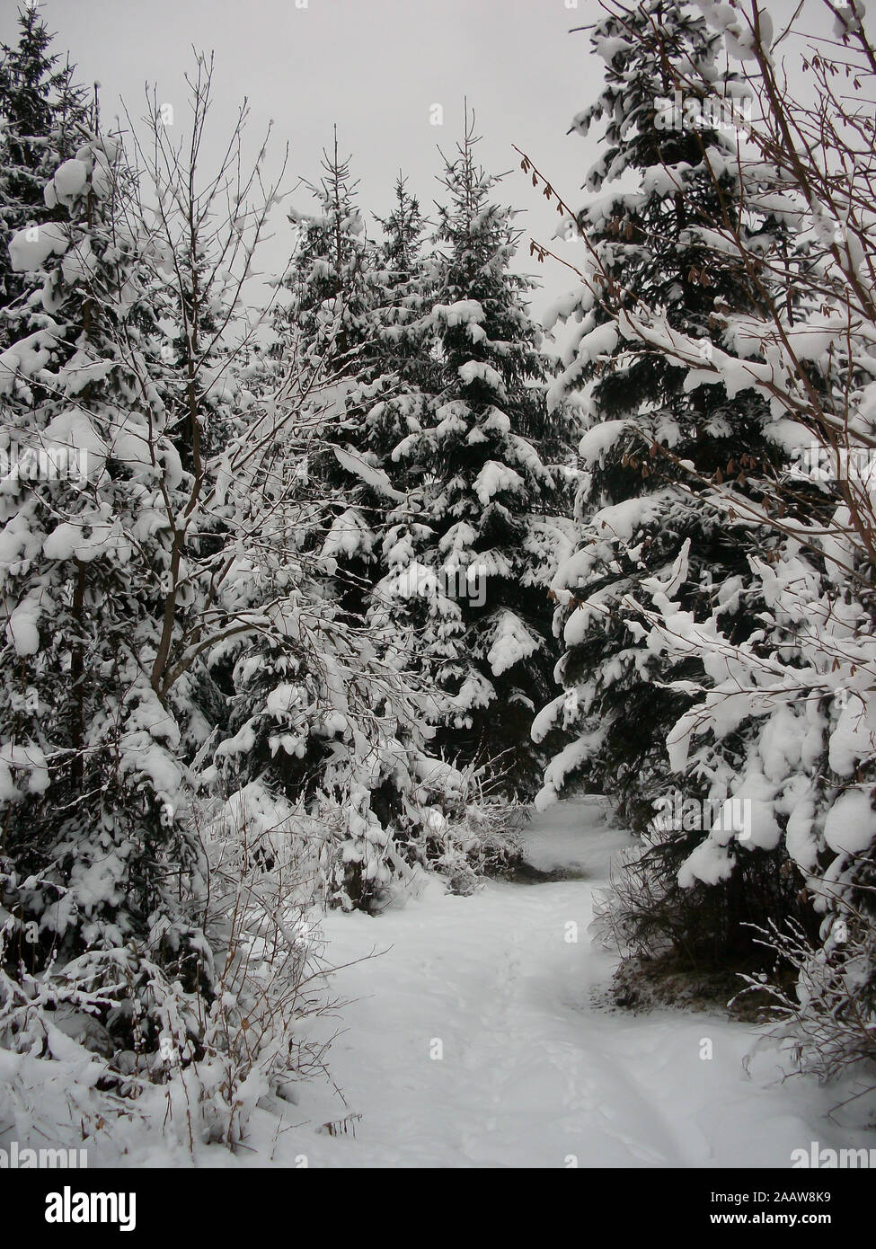 Snap Off High Resolution Stock Photography and Images - Alamy