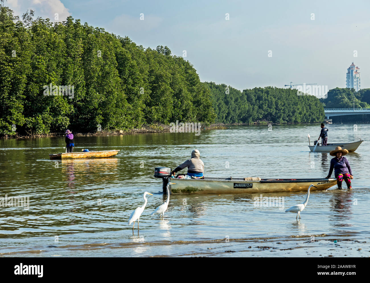 Fishing community and local community buying and selling fish near ...