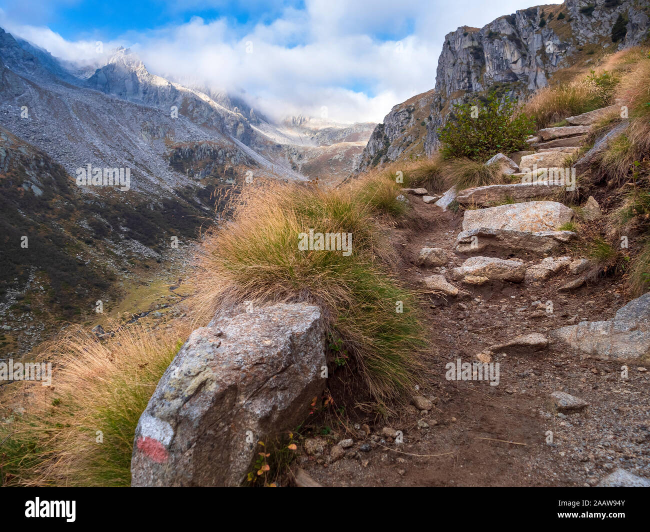 View over nature park Adamello Brenta, Italy Stock Photo - Alamy