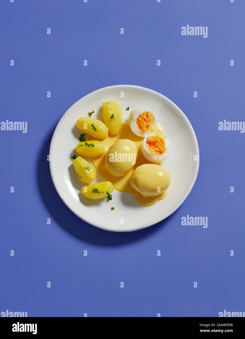 Meal in plate hi-res stock photography and images - Alamy
