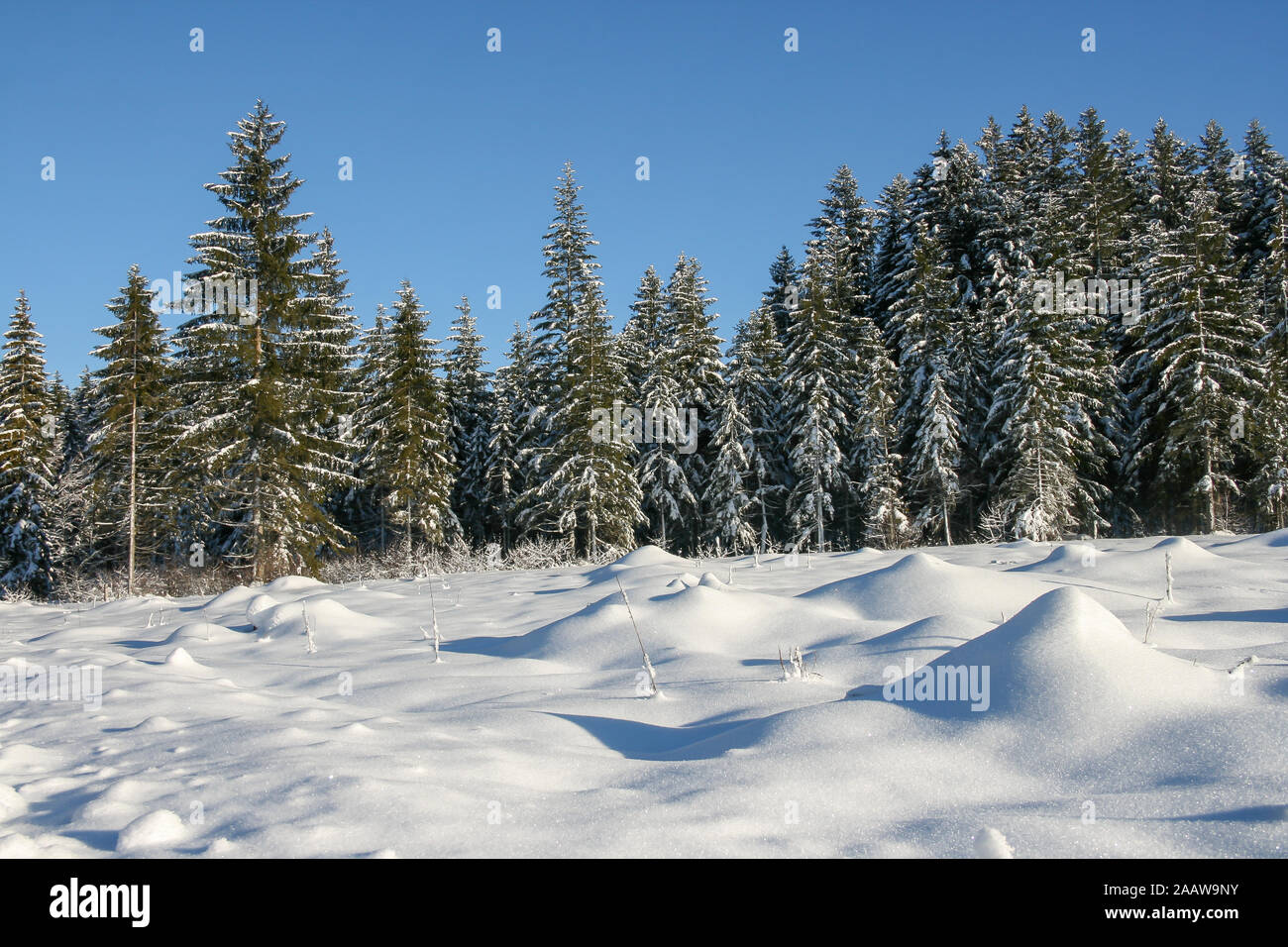 Small piles of snow hi-res stock photography and images - Alamy