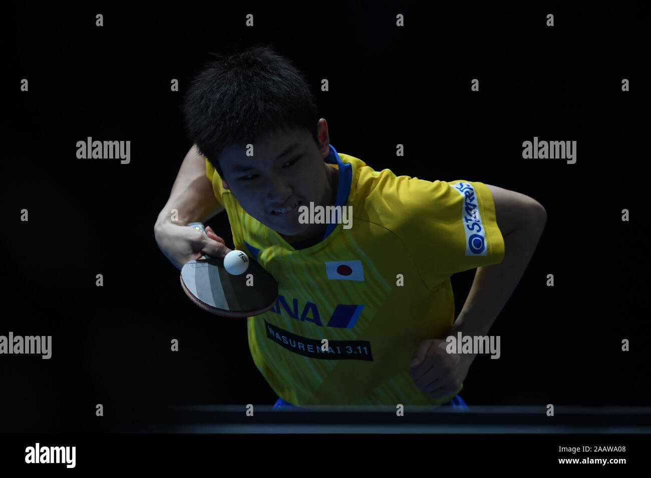 Tampines Walk, Singapore. 24th Nov, 2019. Tomokazu Harimoto (JPN), Nov 24, 2019 - Table Tennis ...