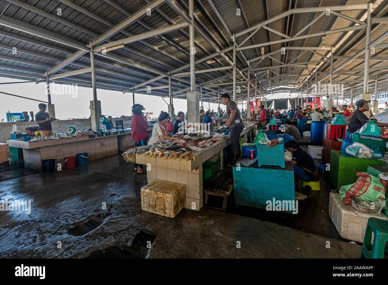 Life at Kota Kinabalu fish market Sabah Malaysia Borneo Stock Photo - Alamy