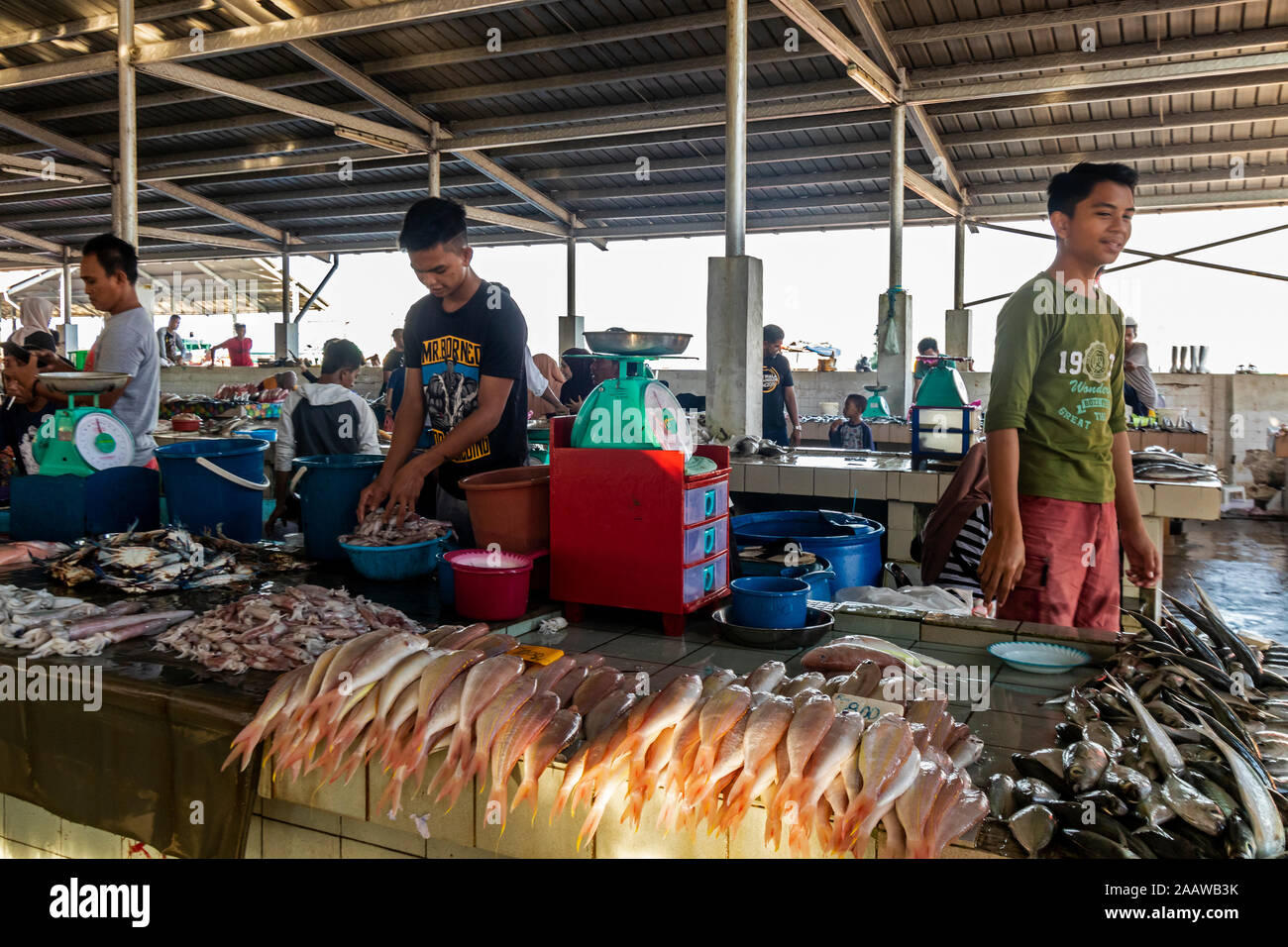 Life at Kota Kinabalu fish market Sabah Malaysia Borneo Stock Photo - Alamy