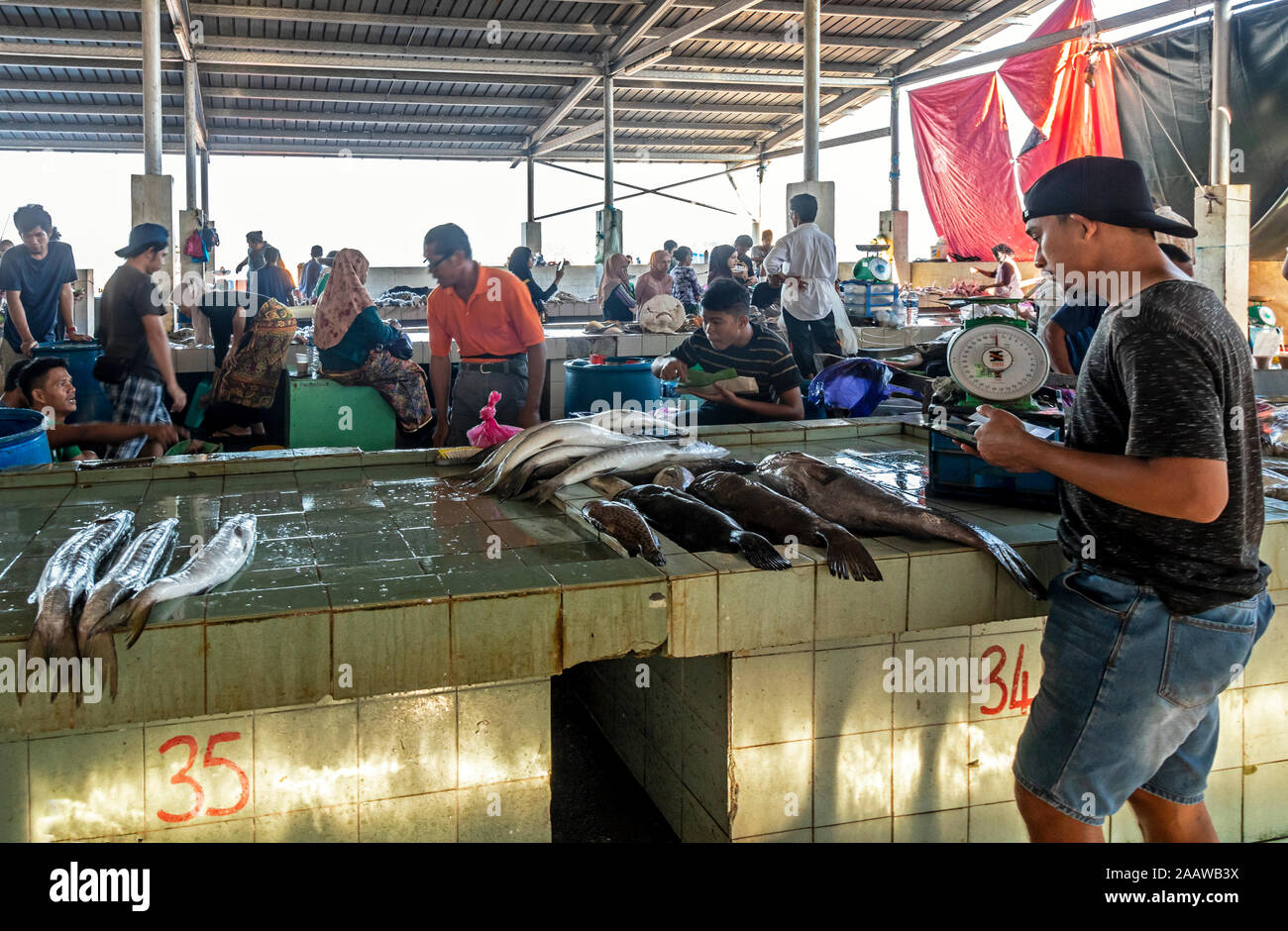 Life at Kota Kinabalu fish market Sabah Malaysia Borneo Stock Photo - Alamy