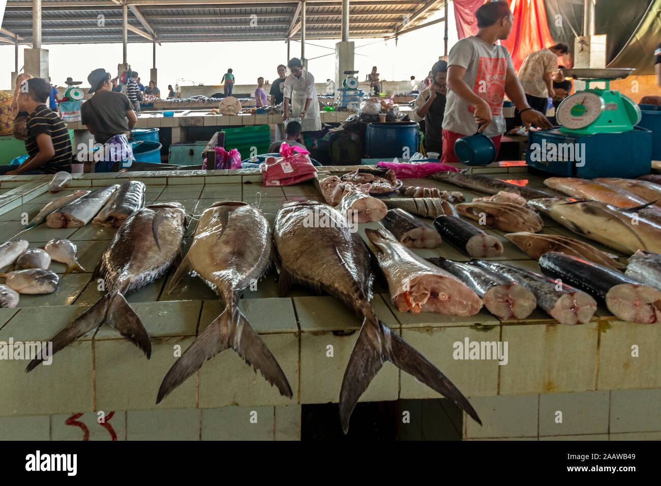Life at Kota Kinabalu fish market Sabah Malaysia Borneo Stock Photo - Alamy