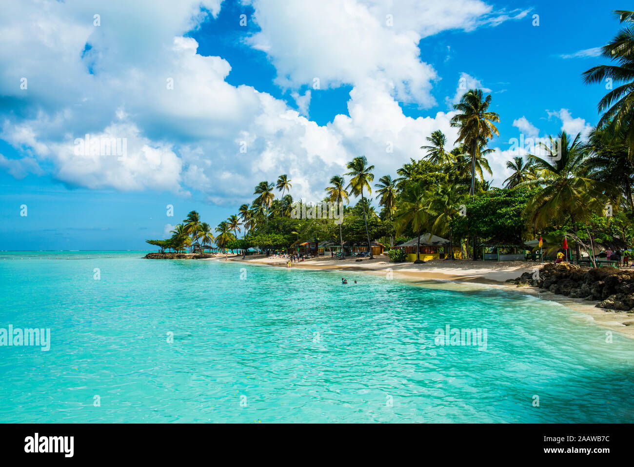 Scenic view of palm trees at Pigeon Point Beach against cloudy sky ...