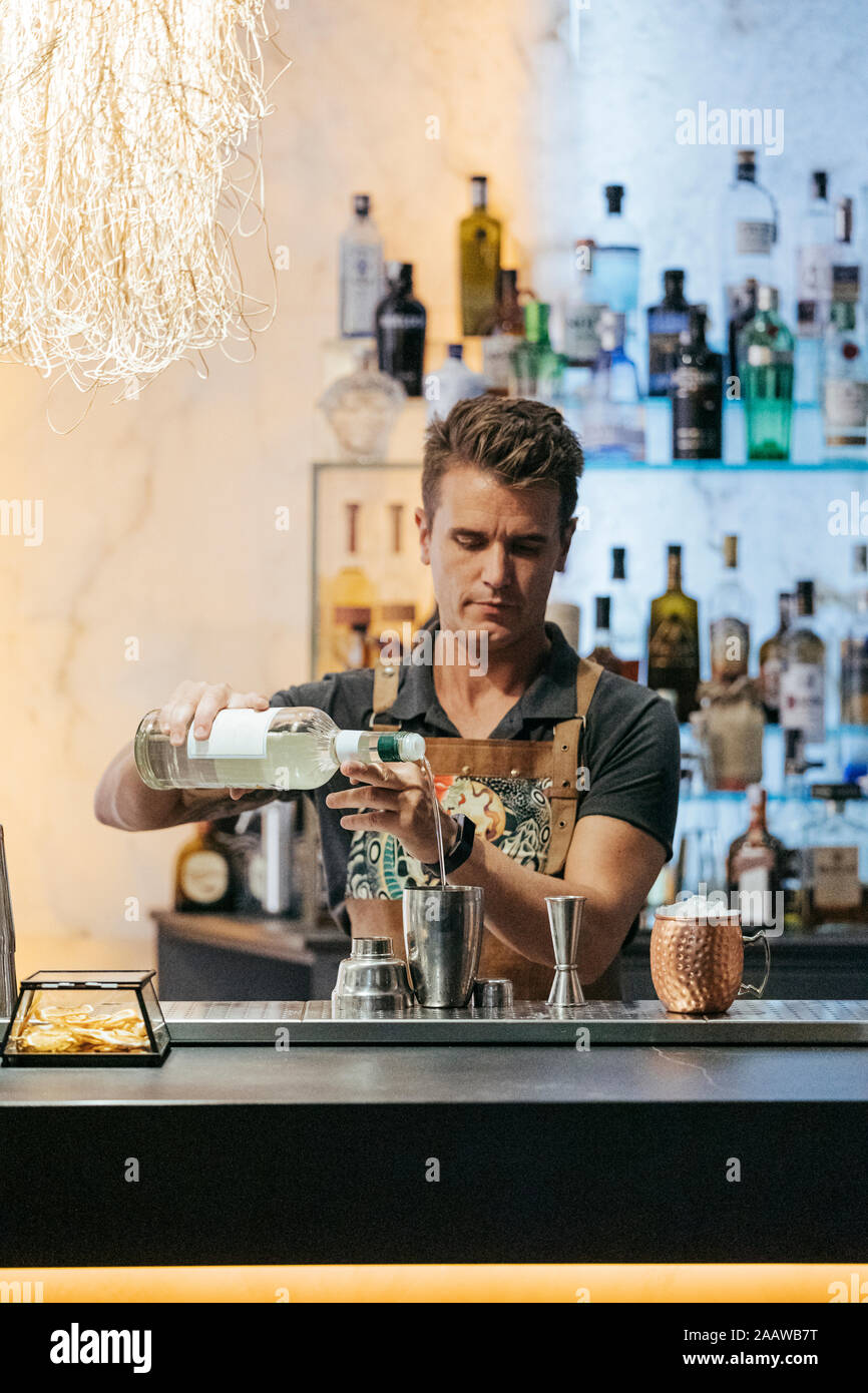 Bartender mixing cocktail in a bar, using cocktail mixer Stock Photo ...