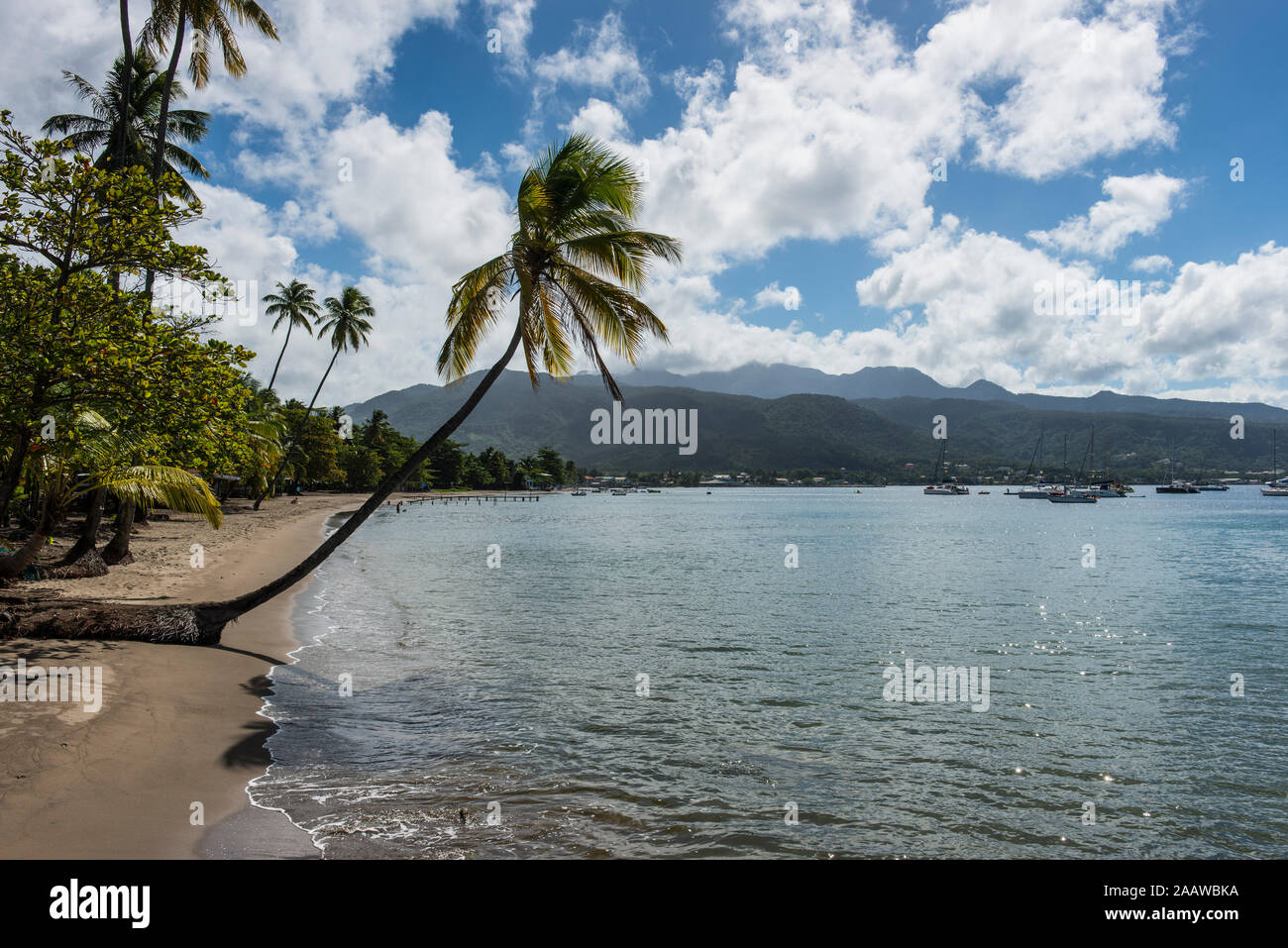 Dominica beach hi-res stock photography and images - Alamy