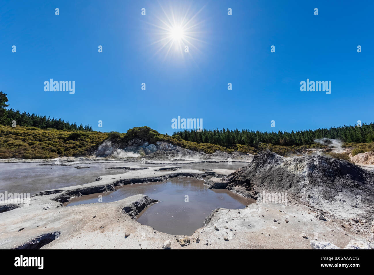 Hell's Gate, Geothermal Park, Tikitere, Rotorua, North Island, New ...