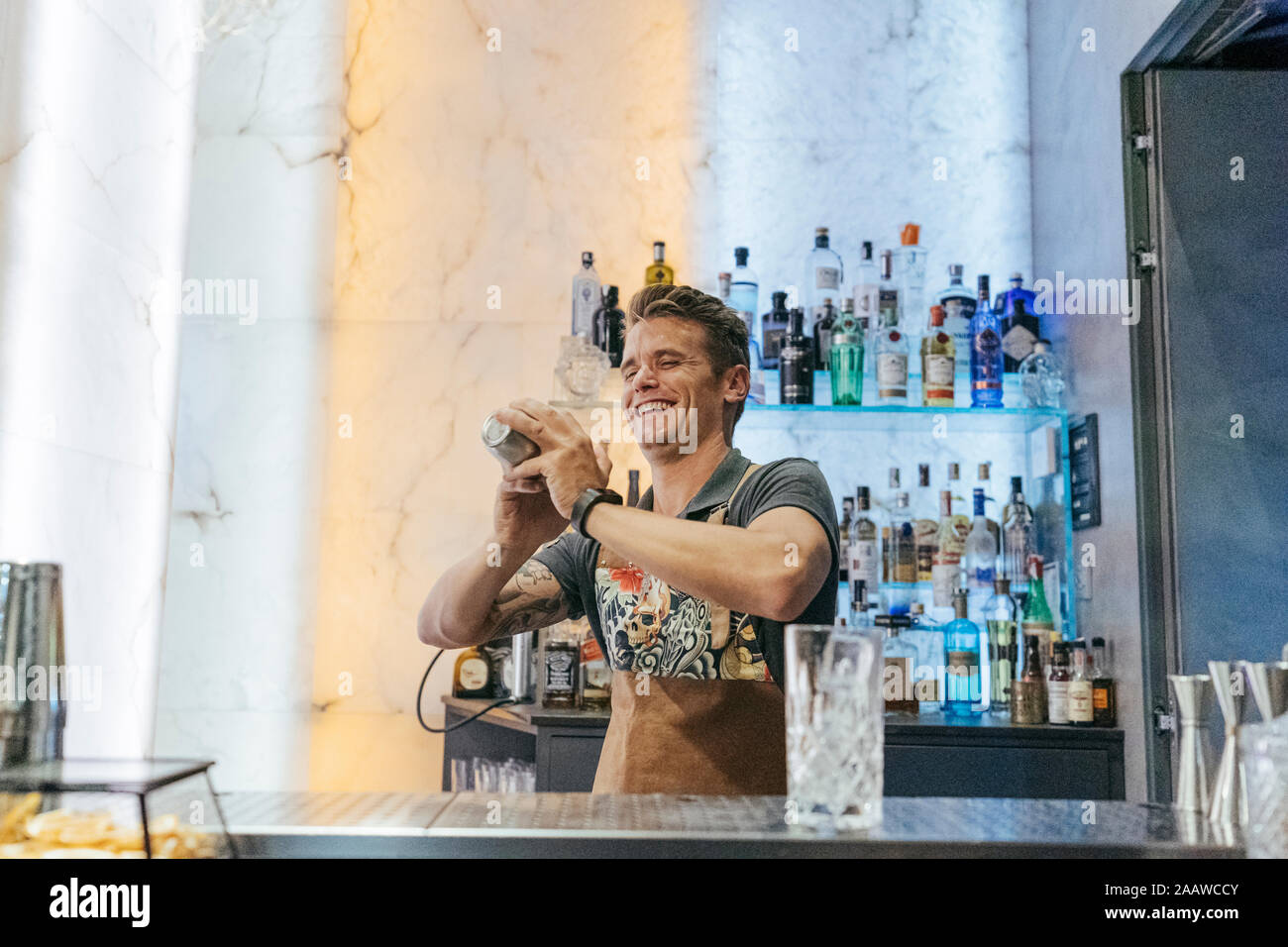Bartender mixing cocktail in a bar, using cocktail mixer Stock Photo ...