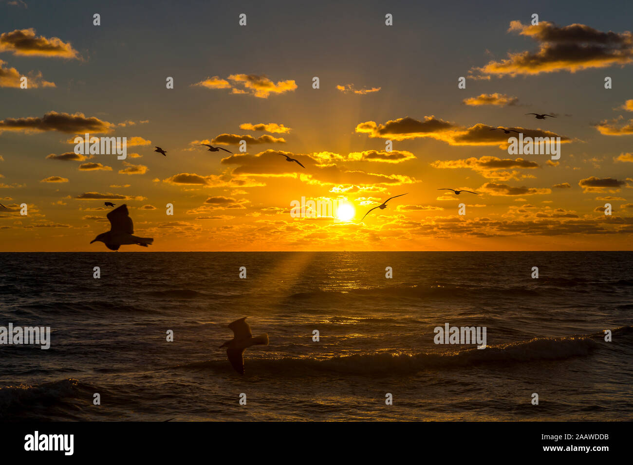 Idyllic view of Miami Beach in Florida, USA during sunrise Stock Photo ...